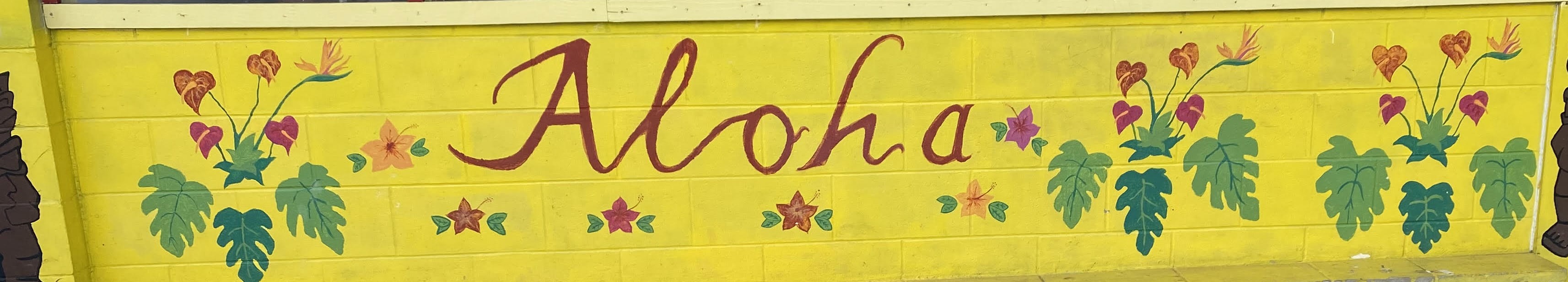 Channel of Bones – The “Aloha” Swim – IrishKiwiSwims